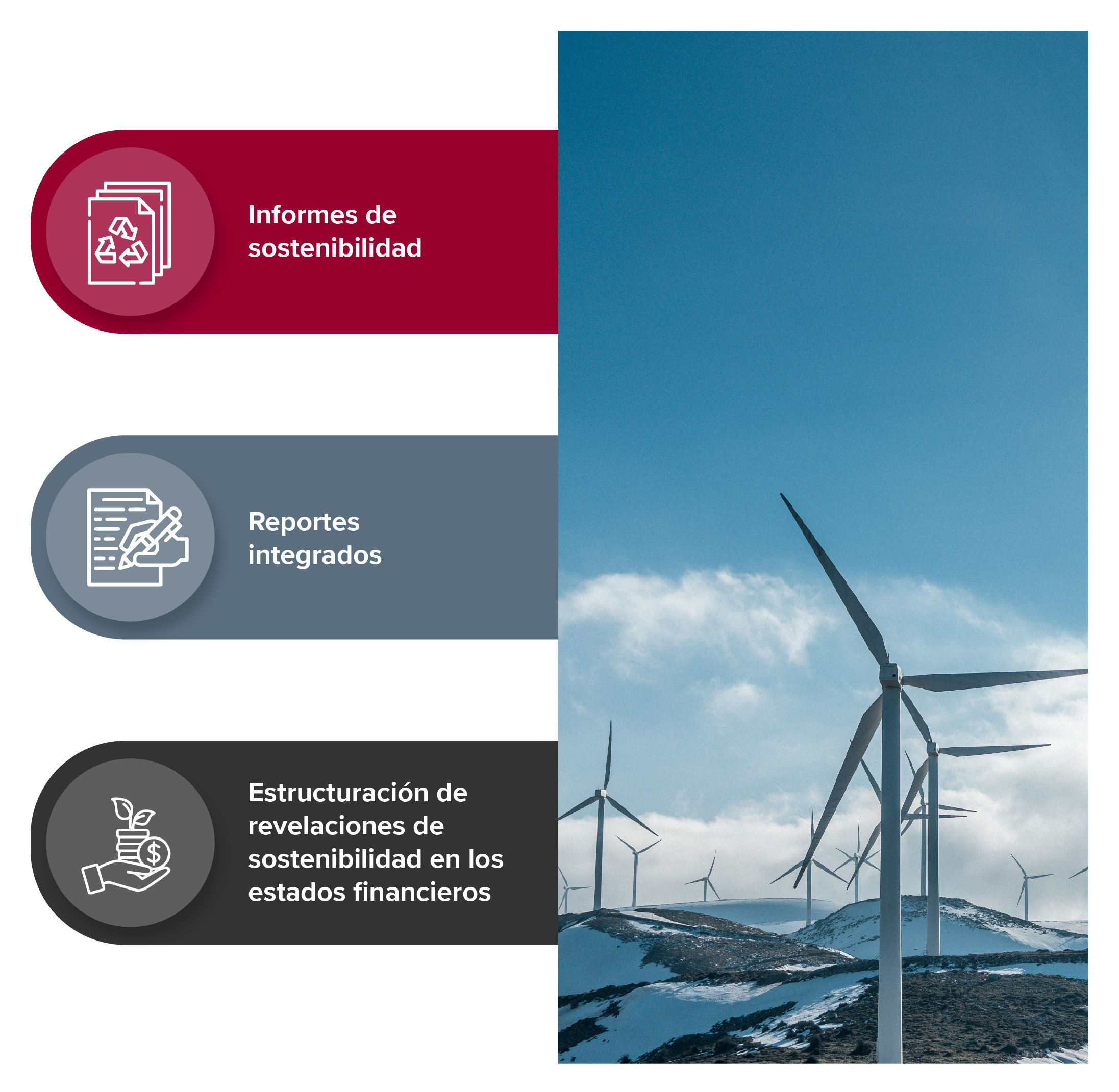Reportes ESG - BDO Reportes ESG - BDO